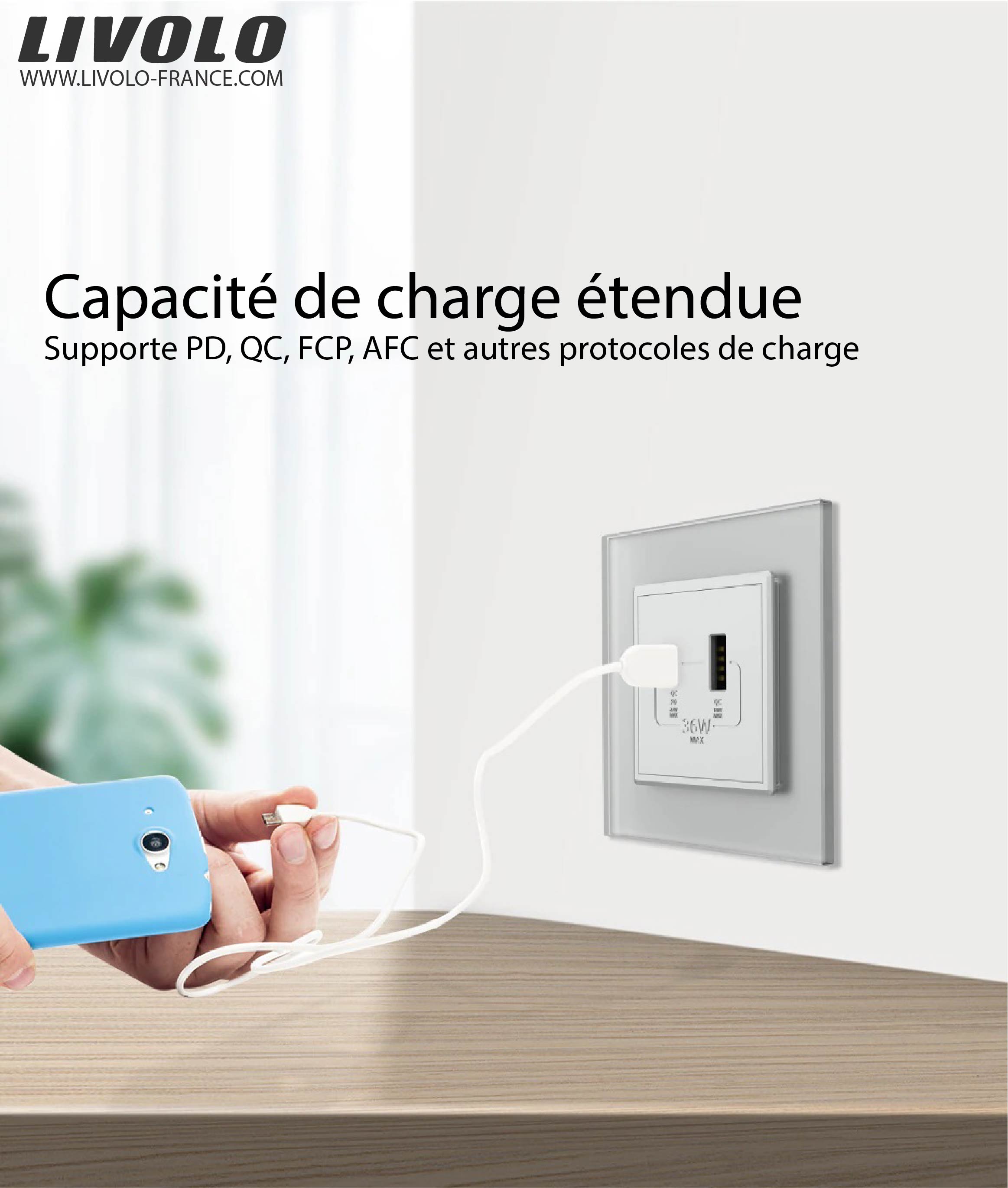 PRISE USB-A ET USB-C 36W NOIR - Livolo France